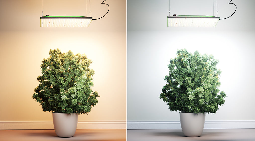 Color Temperature – What does 3000K/5000K mean? – BESTVALED