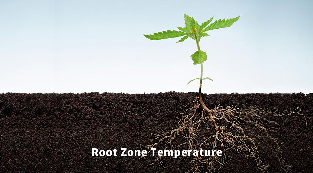Root Zone Temperature – BESTVALED